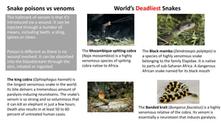 Clinical Toxicity.pptx