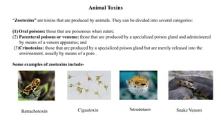 Clinical Toxicity.pptx
