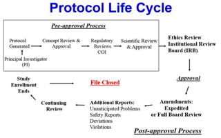 Clinical Trial Protocol.pptx
