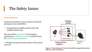 Clinical trials and safety considerations | PPTX