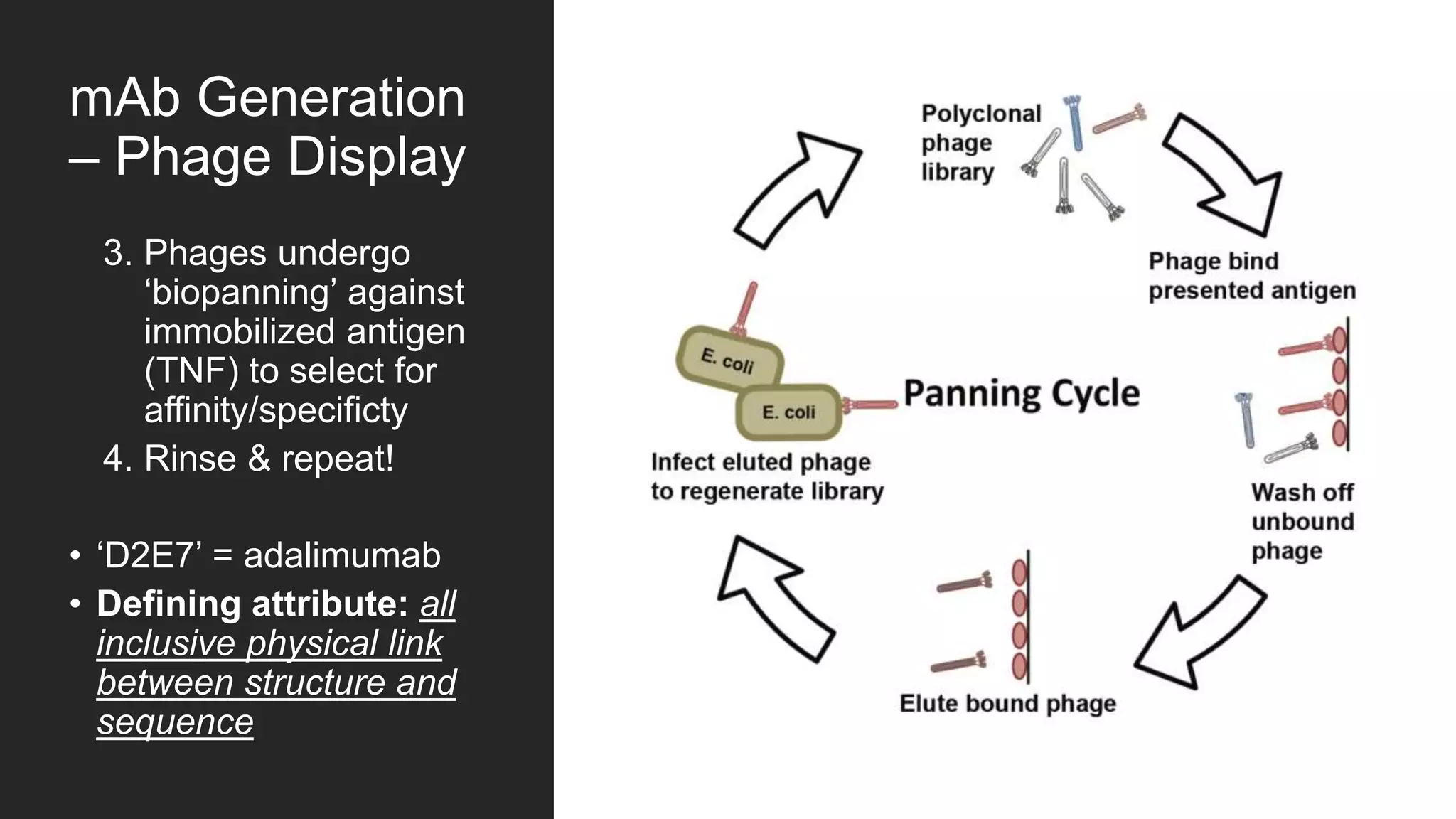 Clinical use & devleopment of adalimumab—lw | PPTX