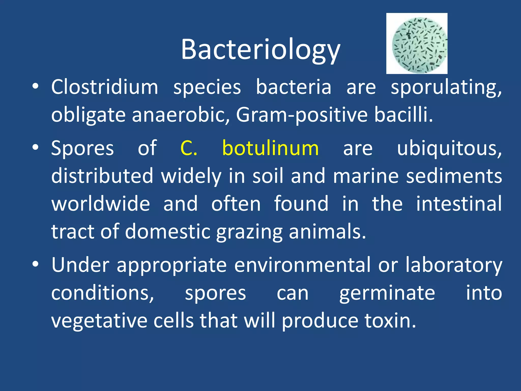Clinical use of botulinum toxins in omfs | PPTX