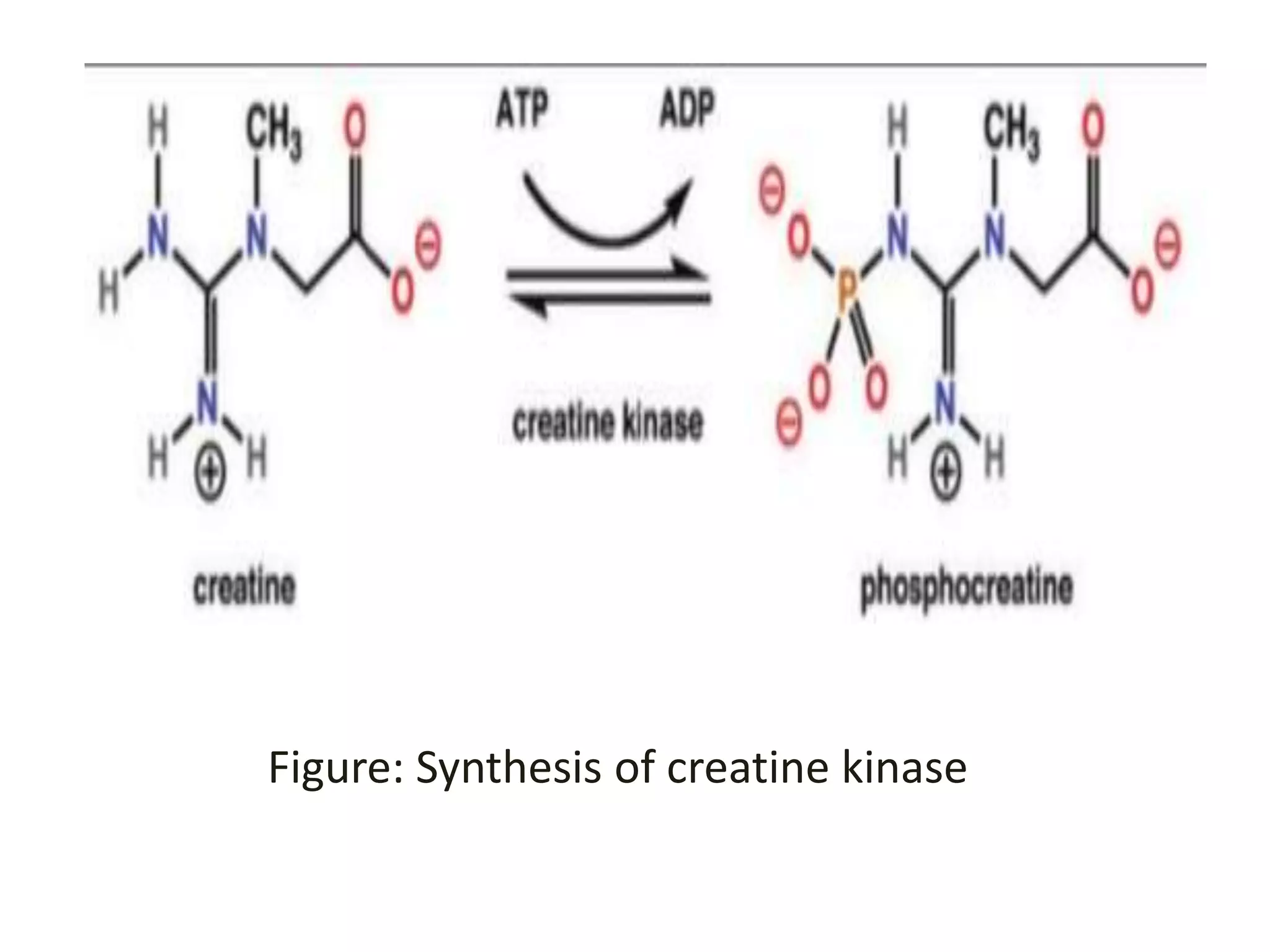 Clinical use of enzymes | PPTX