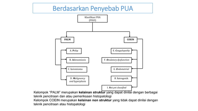 Clinical Utility of PALM-COEIN Classification for AUB 25 Juli 18.pptx.pdf