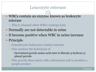 Clinical utility of urinalysis | PPTX