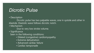 Clinical Value of Examination of Radial and Carotid Pulses at Bedside | PPT