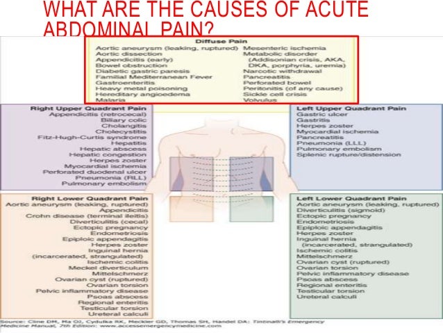 Clinical vignette 5 (Acute Abdominal Pain)