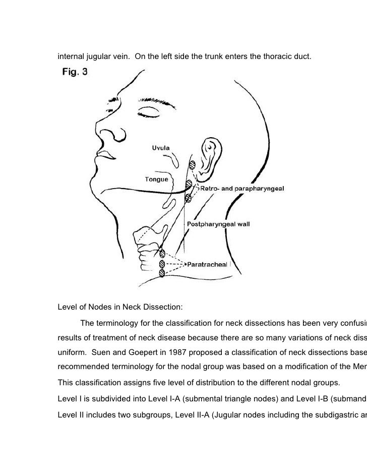 Jugular Lymph Nodes