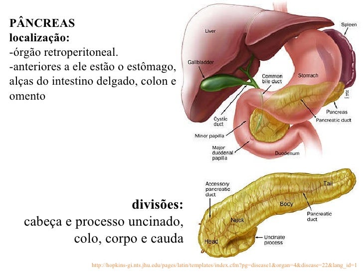 Clinica Pancreas