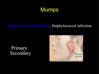 Head and neck pathology | PPT