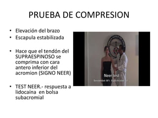 Clinica y examen fisico del hombro | PPT