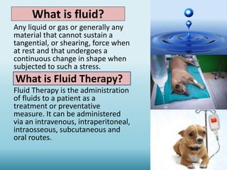 Fluid therapy the basic and applied knowledge | PPTX