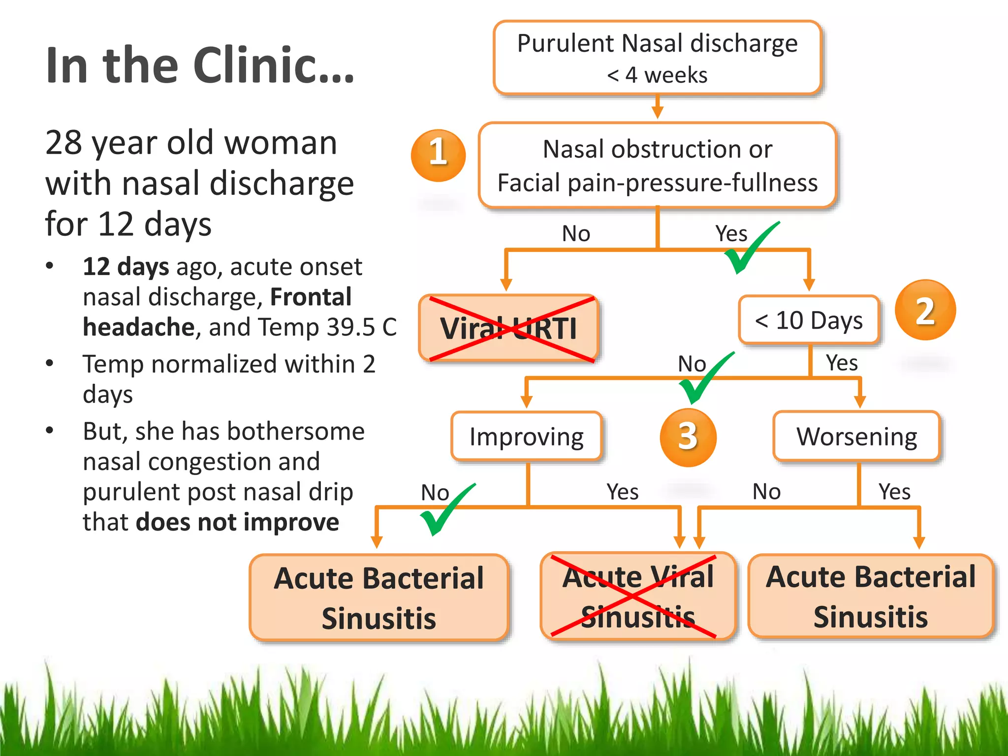 What's trending in Sinusitis | PPTX