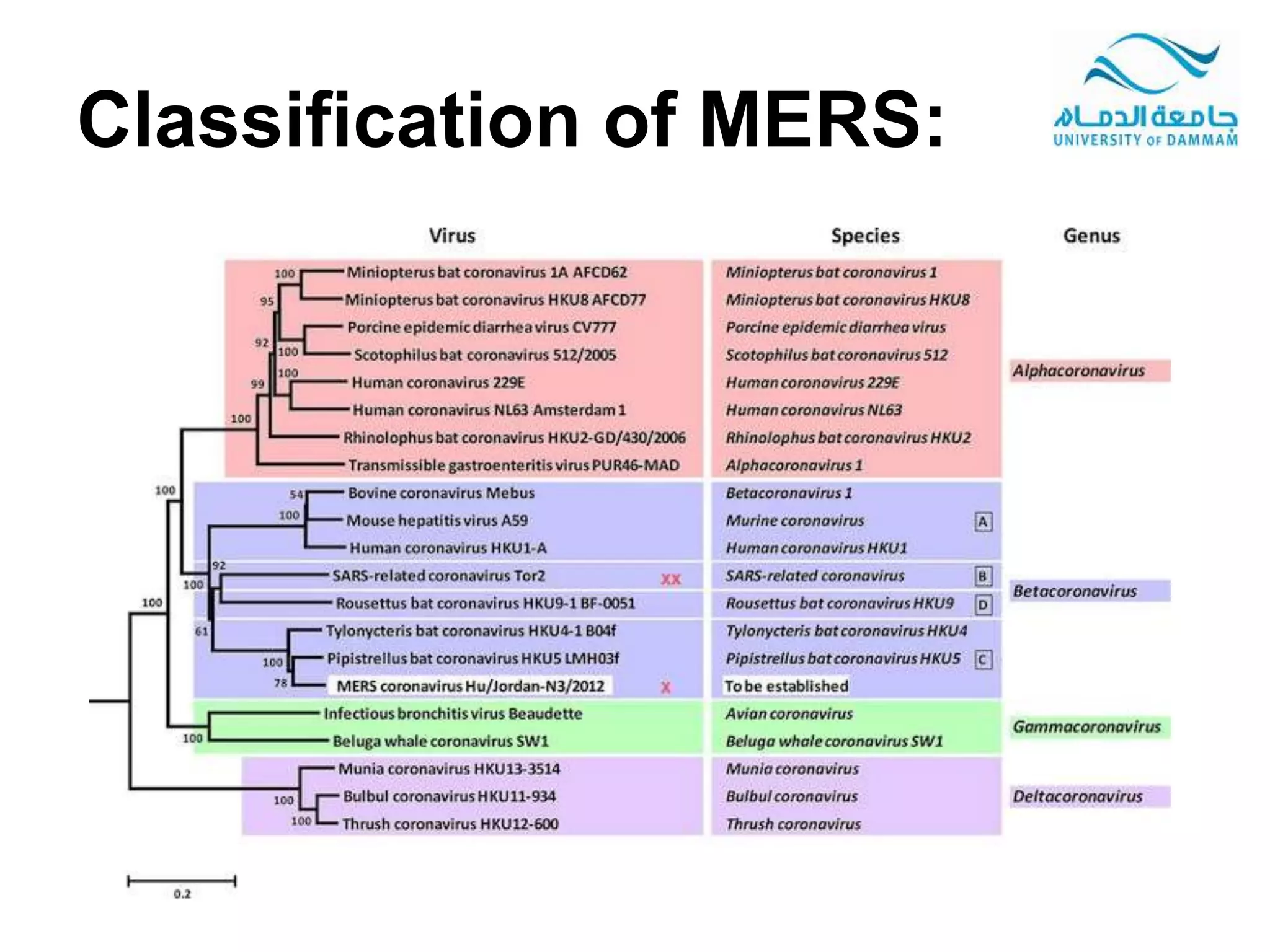 Middle East Respiratory Syndrome "MERS-CoV" | PPTX