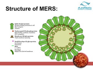 Middle East Respiratory Syndrome "MERS-CoV" | PPTX