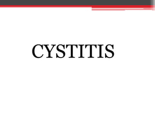cystitis in sheep | PPTX