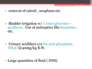 cystitis in sheep | PPTX