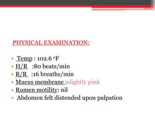 cystitis in sheep | PPTX