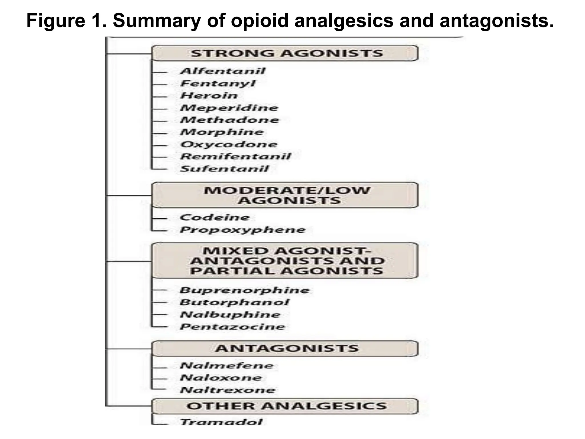 clinical pharmacology of opioid analgesics .ppt