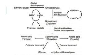 Cli path phy(coma-in-exogenous-intoxication) | PPT