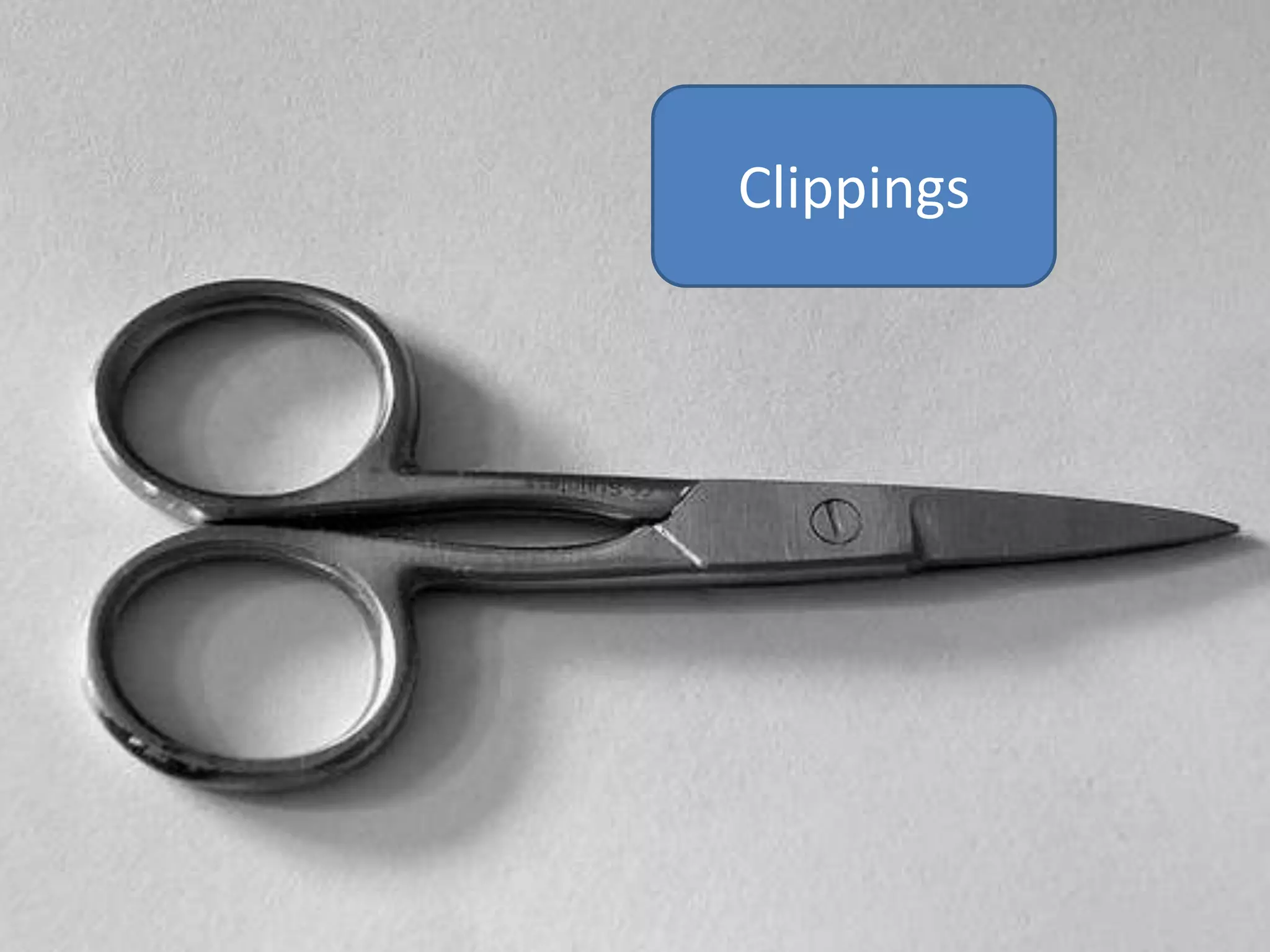 Morphology: Clipping | PPTX