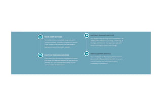 COLOR VARIANTS & COLOR CHANGING | PPT