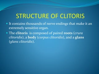 Os Clitoridis by rizwan ullah | PPTX