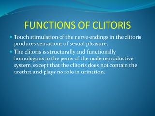 Os Clitoridis by rizwan ullah | PPTX