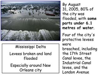 Hurricane Katrina | PPTX