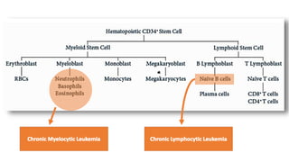 CLL. CML.pptx