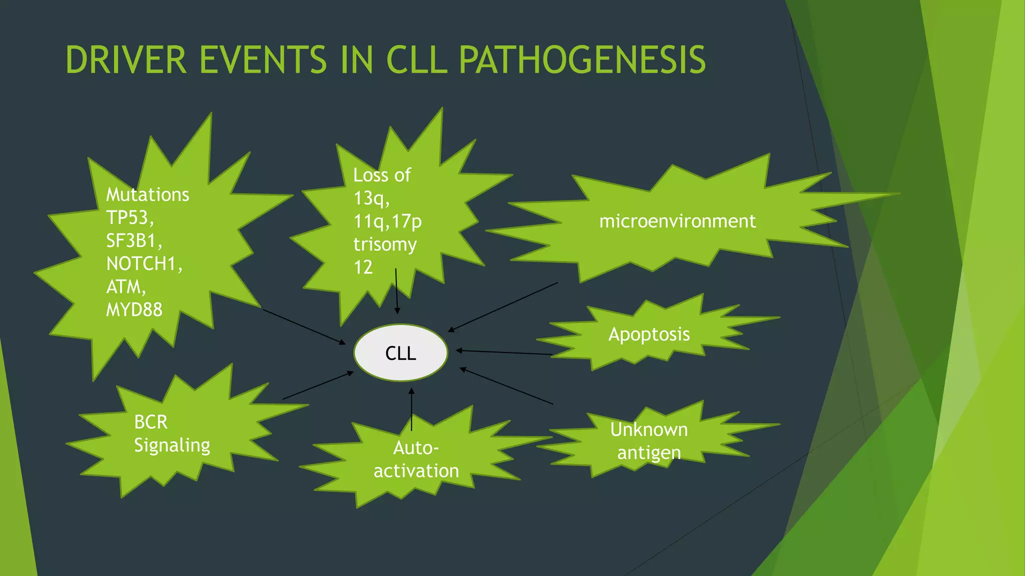 Cll pathogenesis and targeted therapy | PPTX