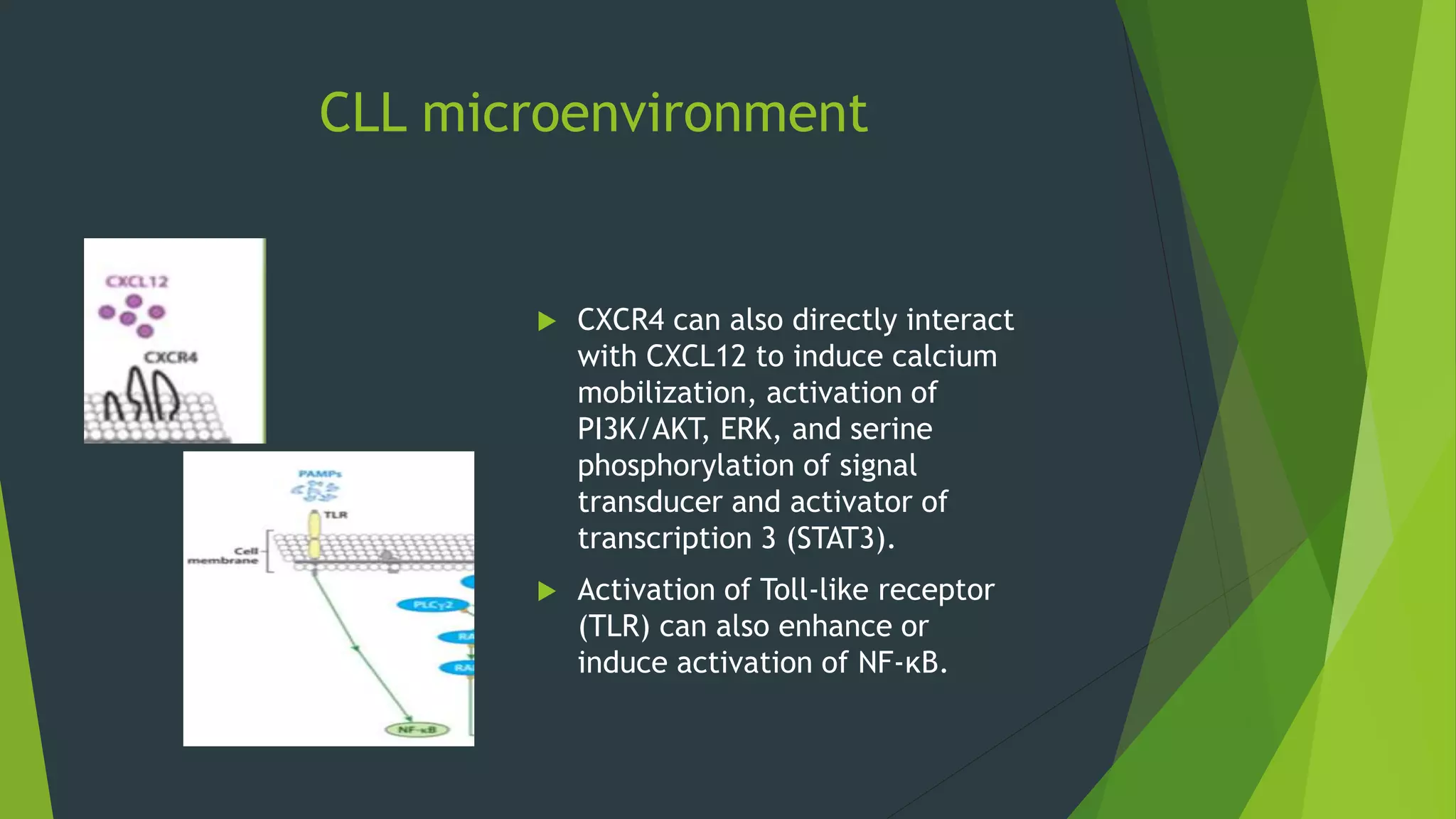 Cll pathogenesis and targeted therapy | PPTX