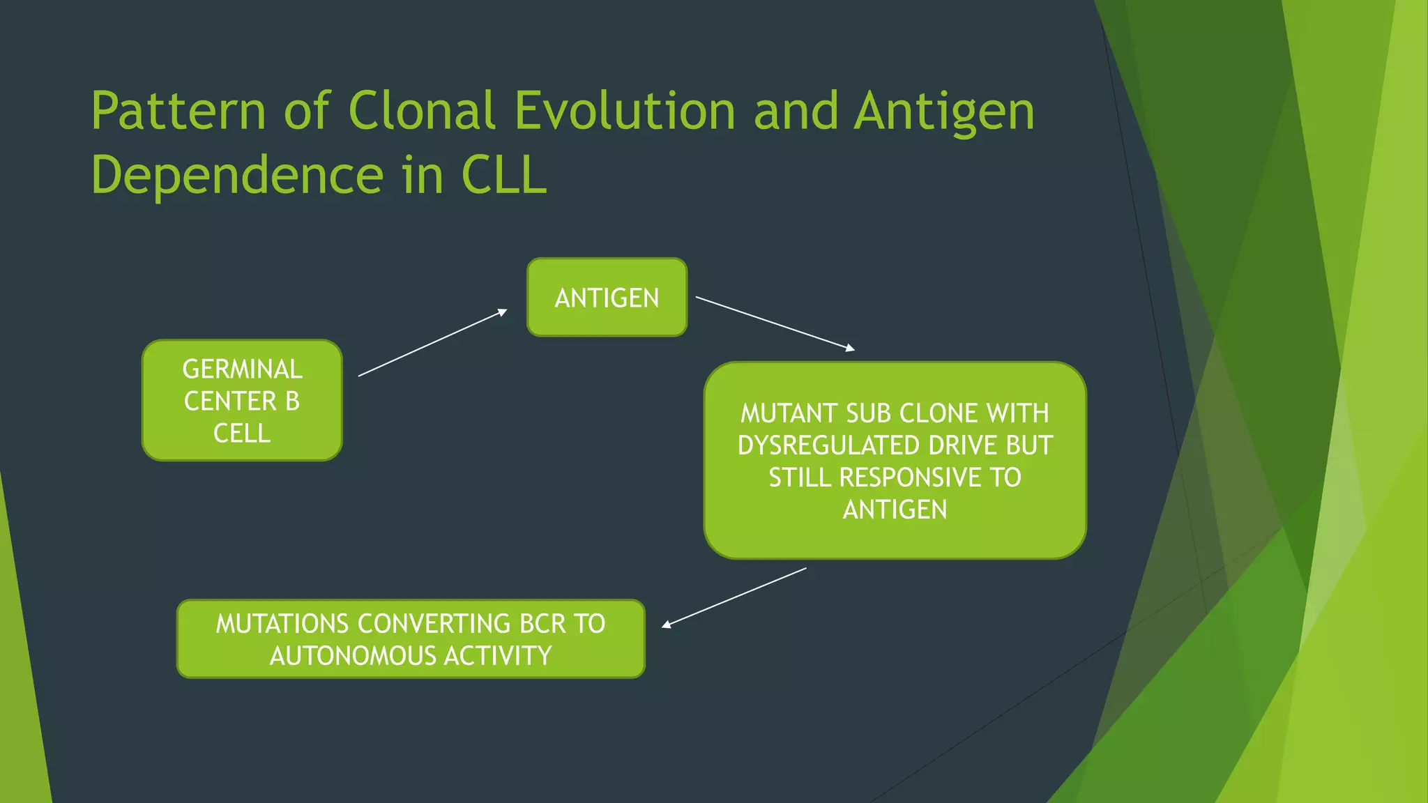 Cll pathogenesis and targeted therapy | PPTX