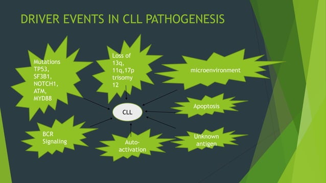 Cll pathogenesis and targeted therapy | PPT
