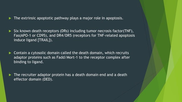 Cll pathogenesis and targeted therapy | PPT