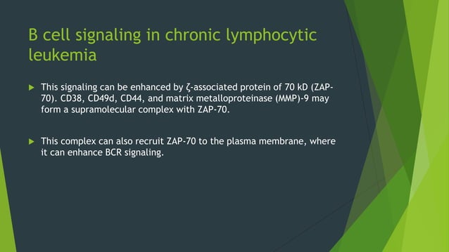 Cll pathogenesis and targeted therapy | PPT