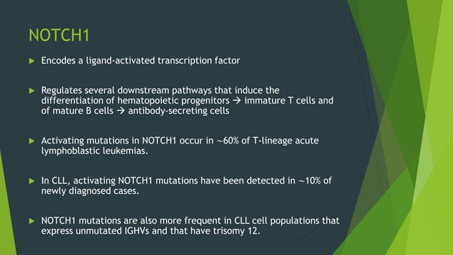 Cll pathogenesis and targeted therapy | PPT
