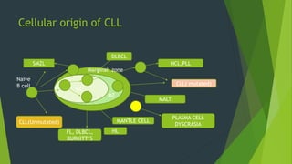 Cll pathogenesis and targeted therapy | PPT
