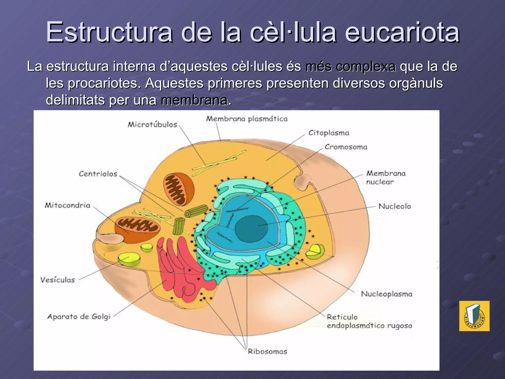 La cèl·lula eucariota | PPT