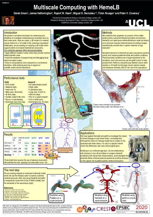 Multiscale modelling of brain bloodflow using HemeLB and Python Navie…