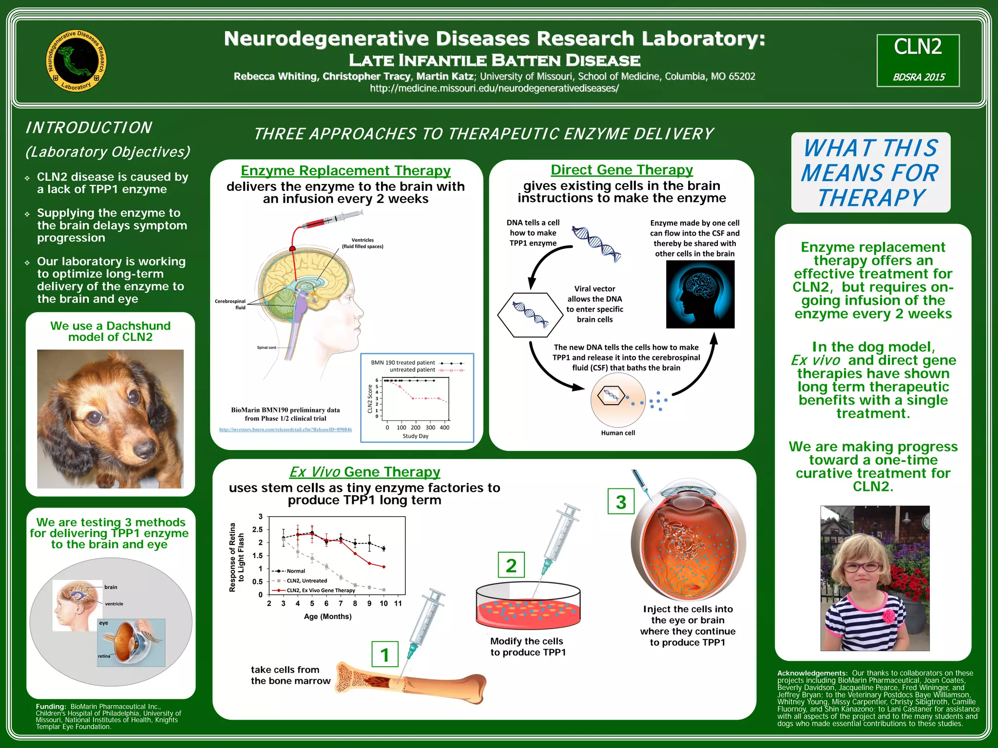 BDSRA 2015 CLN2 Whiting, Tracy, Katz | PDF