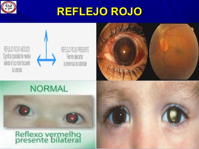 Clínica de oftalmologia 2014