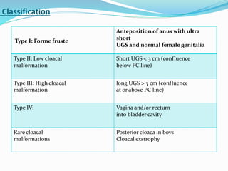 Persistent Cloaca In Males