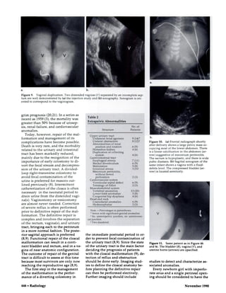 Cloacal malformation.full | Digestive Disorders | Diseases and Conditions