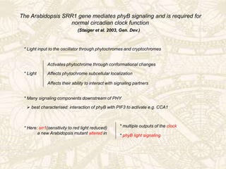 clock2.ppt | Genetics | Science