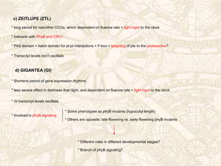 clock2.ppt | Genetics | Science