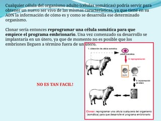 clonacion humana y animal. Biologia.pptx