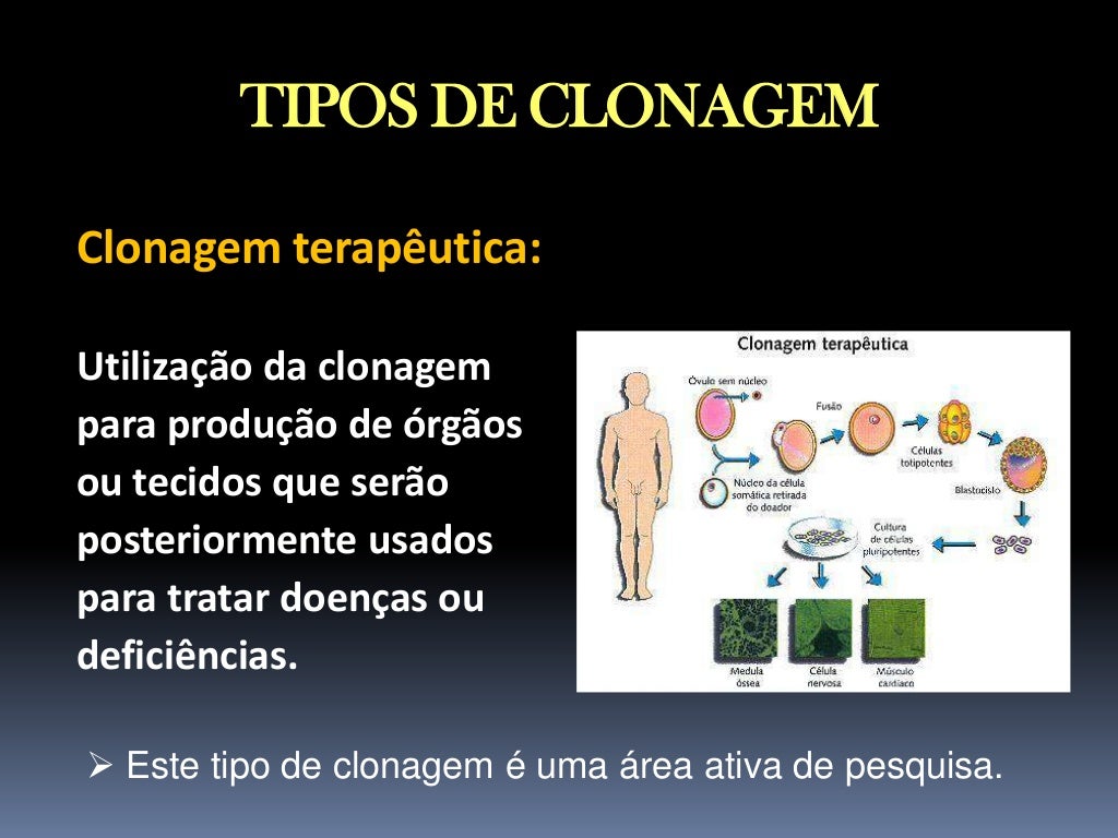 Vantagens E Desvantagens Da Clonagem - RETOEDU