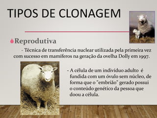 Aula de Clonagem e Vetores e bibliotecas de DNA | PDF