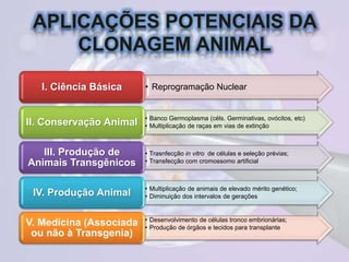 Clonagem animal | PPTX